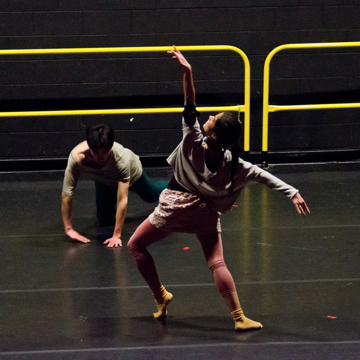 Jill Johnson brings transdisciplinary dance to Harvard with 2012 spring ...
