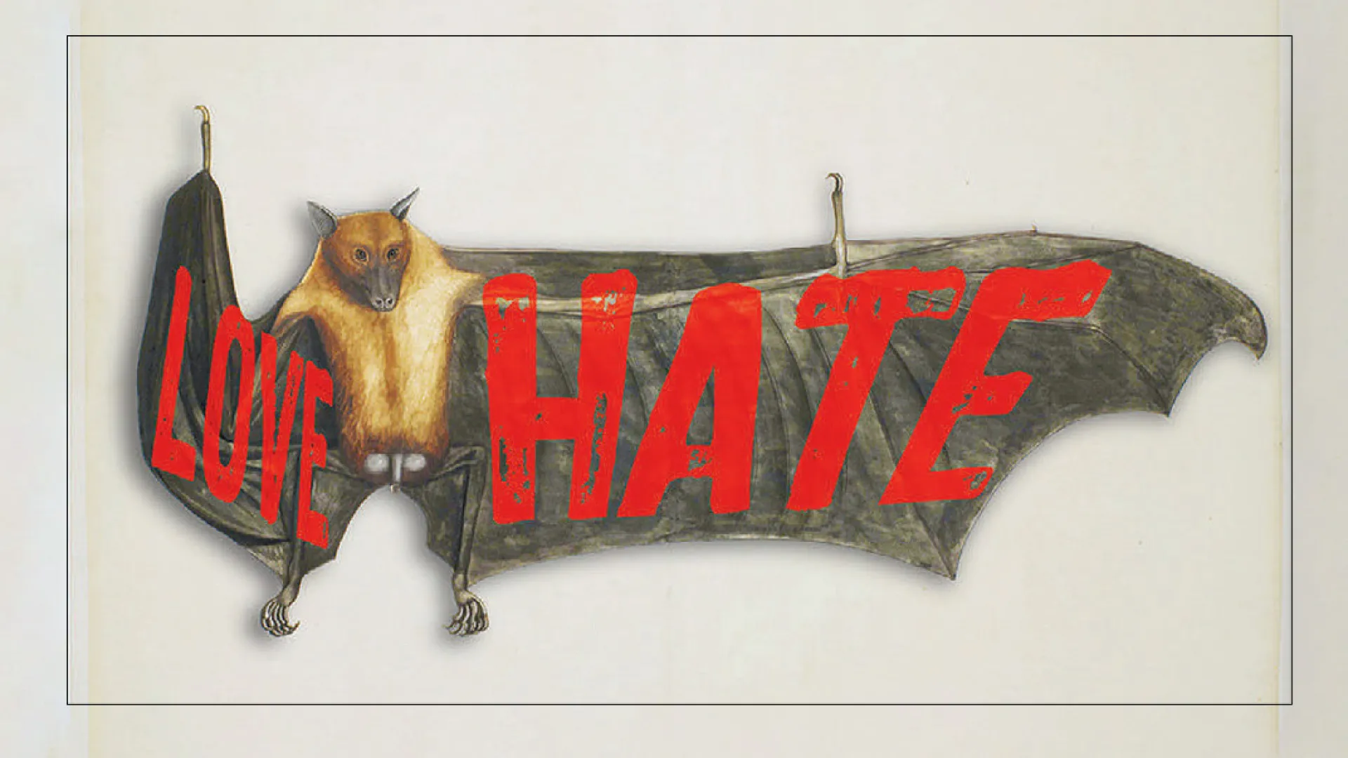 Curiosities: Bats, In Fact | Harvard Magazine