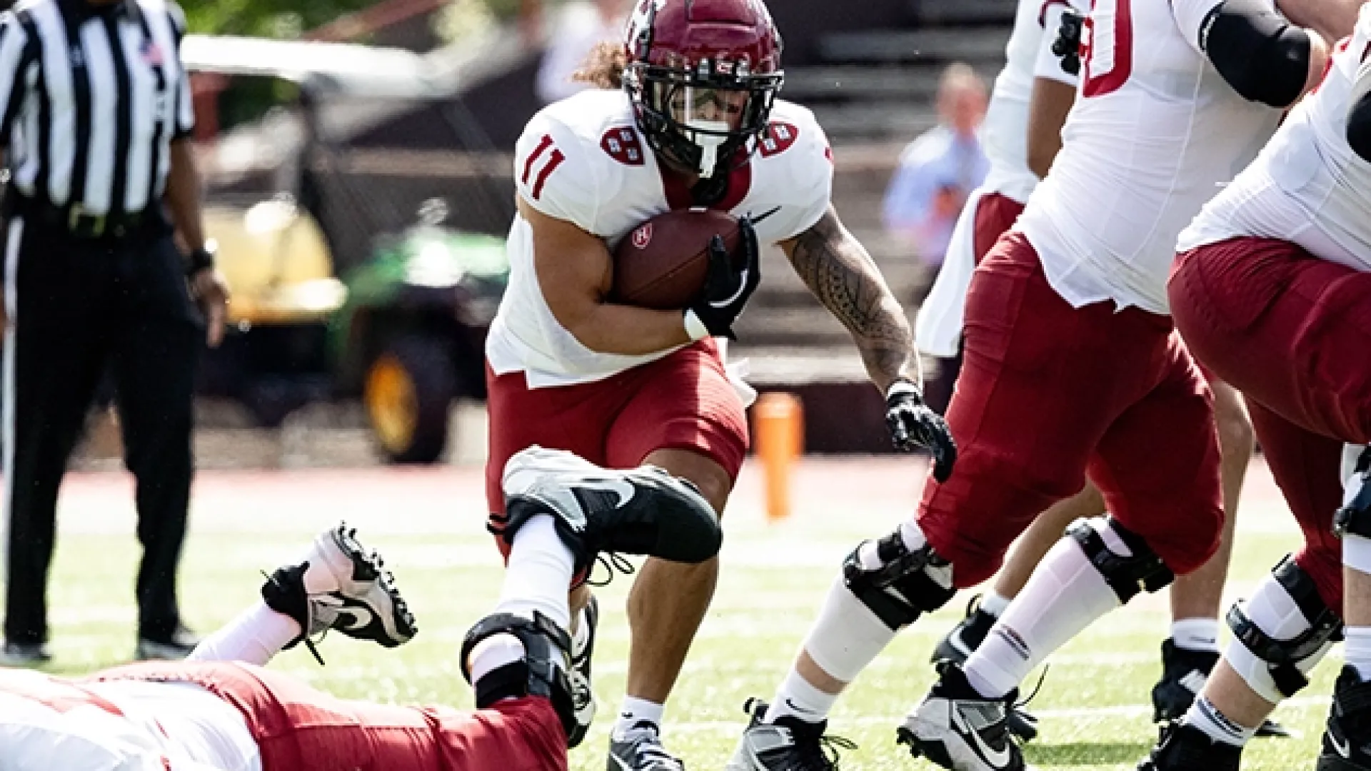 Harvard Football-Brown 31- Harvard 28 | Harvard Magazine