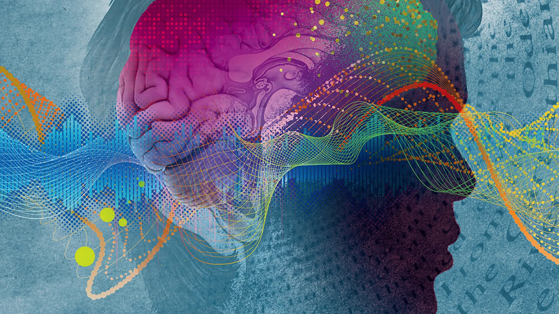 How Does the Brain Interpret Language in Real-Time? | Harvard Magazine