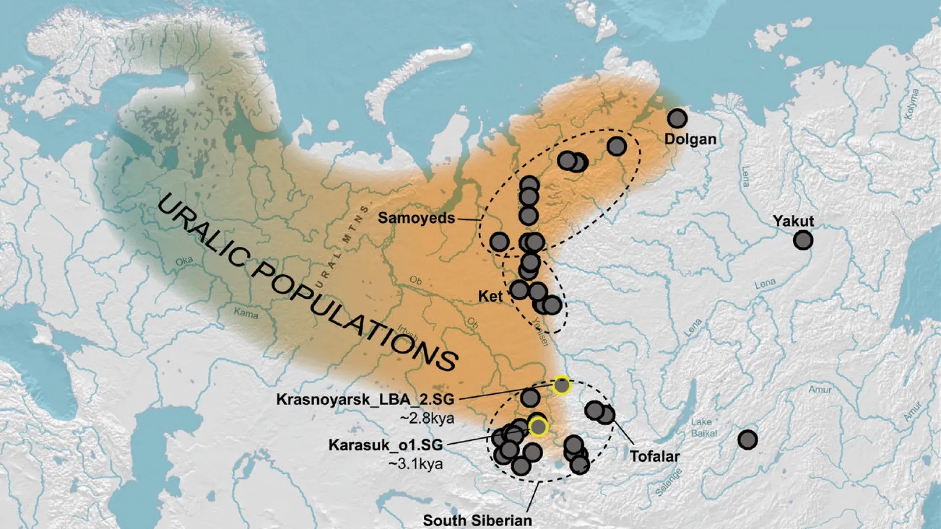 ural siberian method