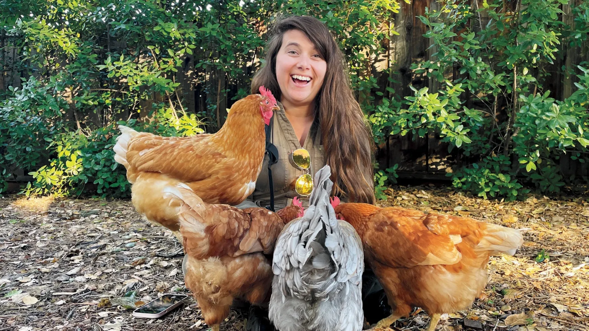 This Harvard-Trained Lawyer Fights for the Rights of Chickens | Harvard ...