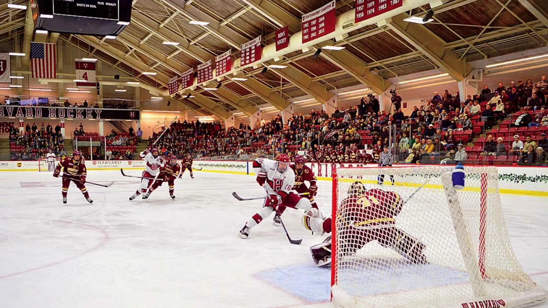 Winter sports in brief | Harvard Magazine