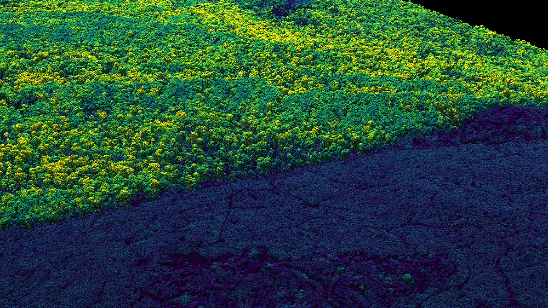 Deforestation Damages Even the Rainforests That Survive It | Harvard ...