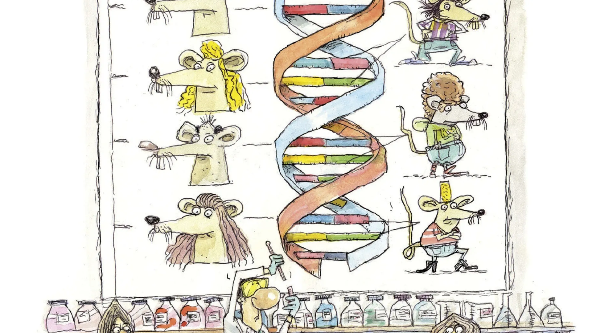 Scientists Test Effect of Human Gene in Mouse | Harvard Magazine