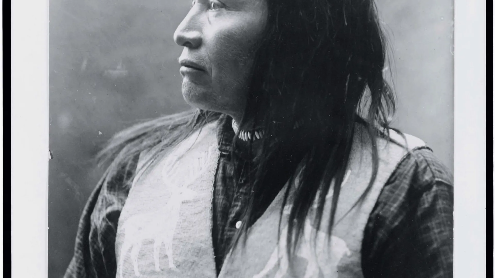 Yellow Wolf's Silence: The Untold Nez Perce War Story | Harvard Magazine