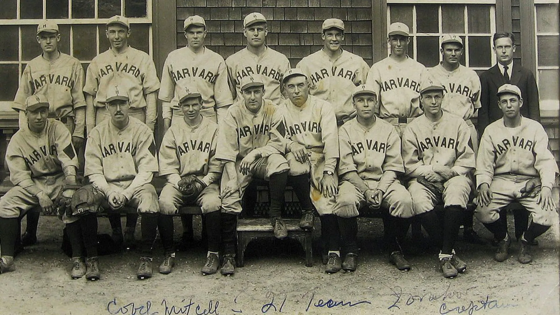 harvard baseball team