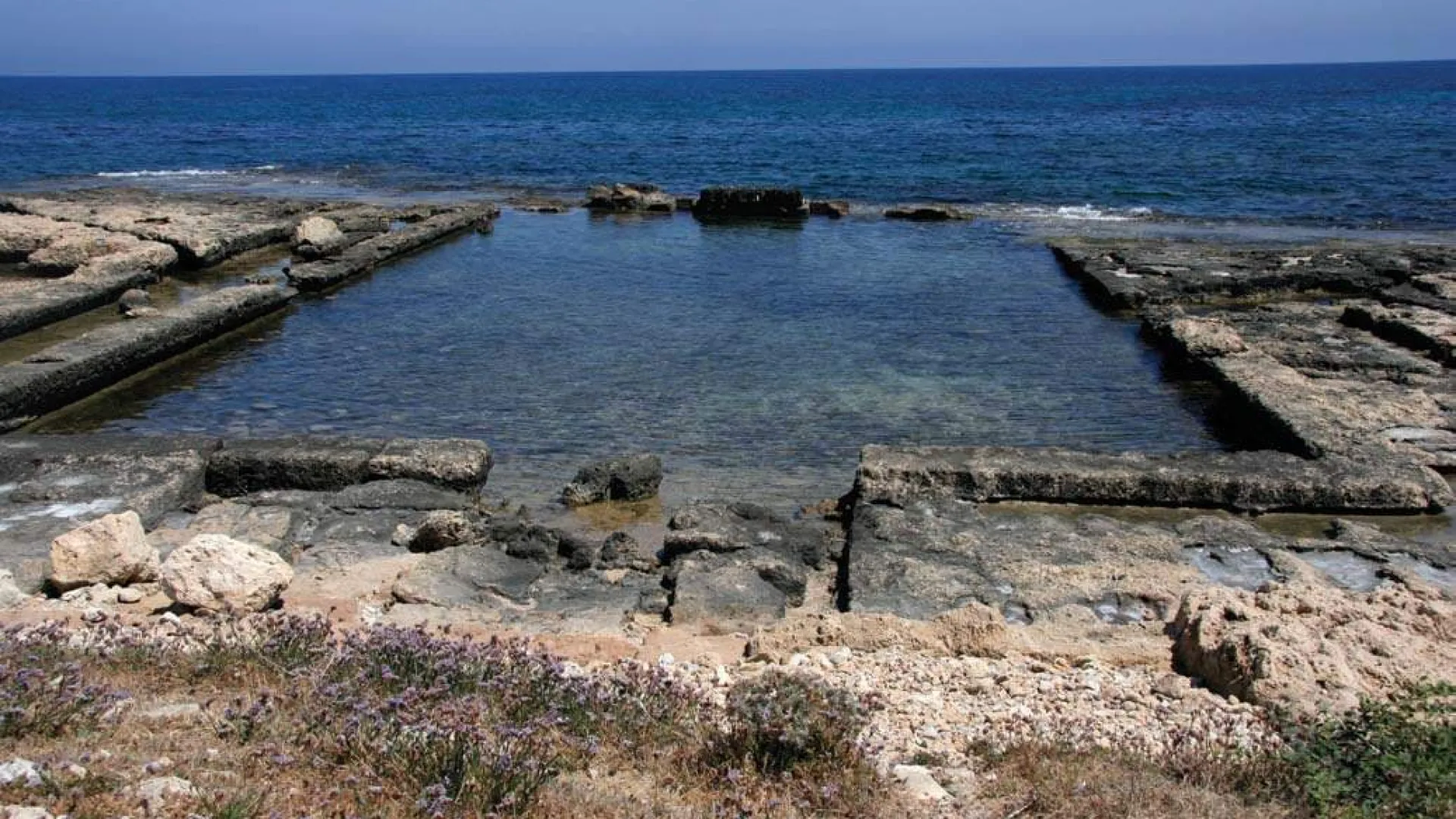 Roman fish tanks track ancient sea level | Harvard Magazine