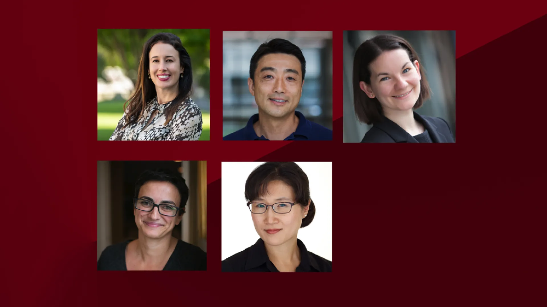 Seven Harvard Affiliates Named HHMI Investigators | Harvard Magazine