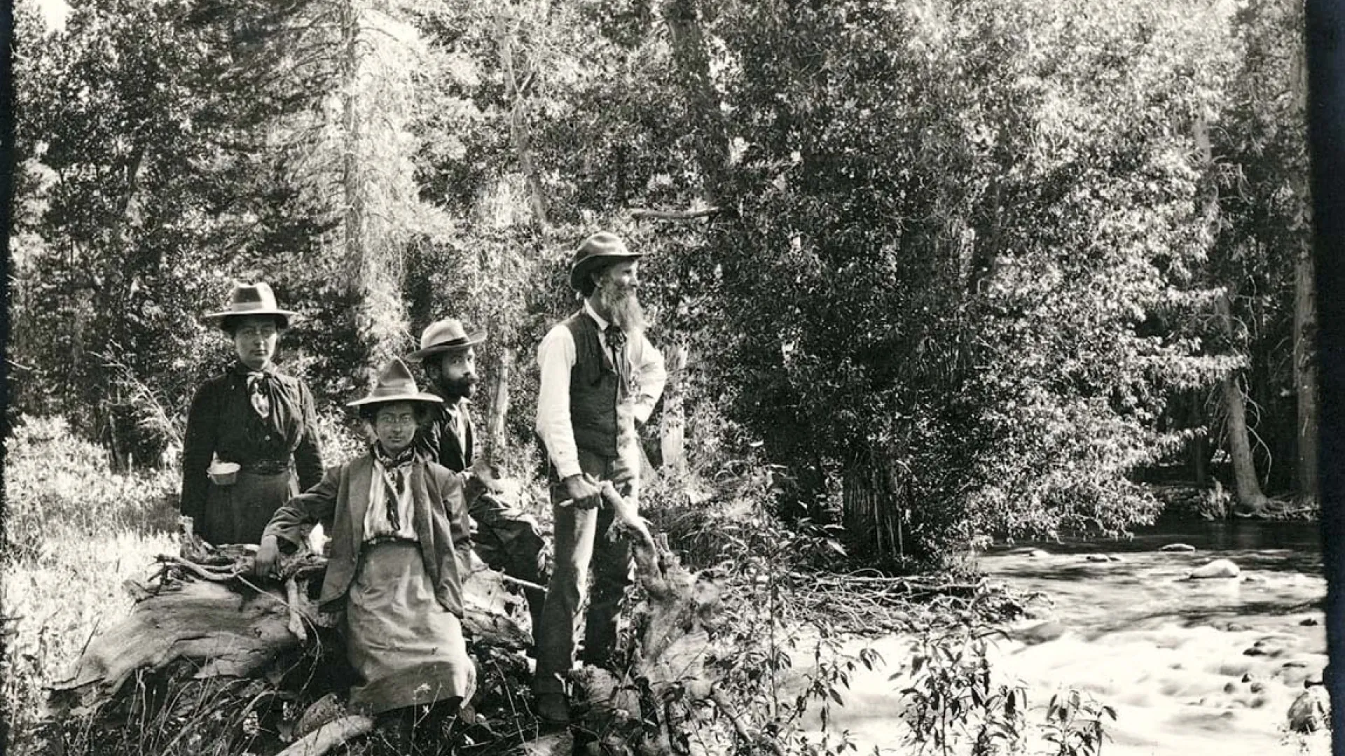 John Muir | Harvard Magazine