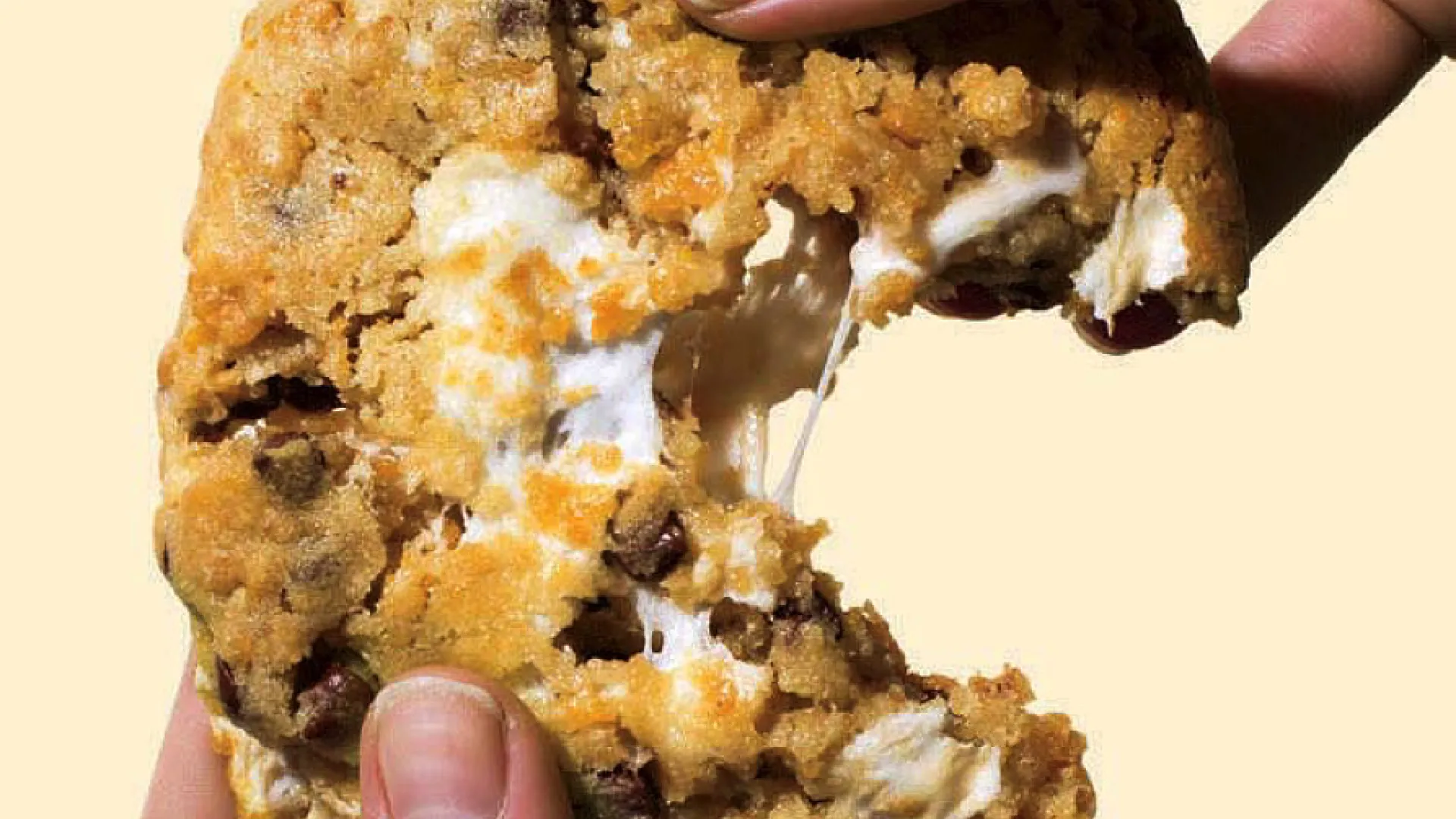 Recent books with Harvard connections | Harvard Magazine