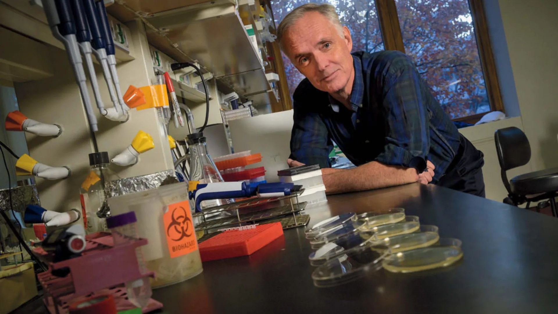 The new engineers: snapshots of synthetic biologists at work | Harvard ...