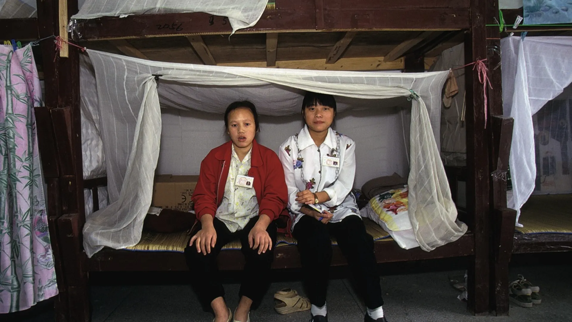 "Working Sisters" | Harvard Magazine
