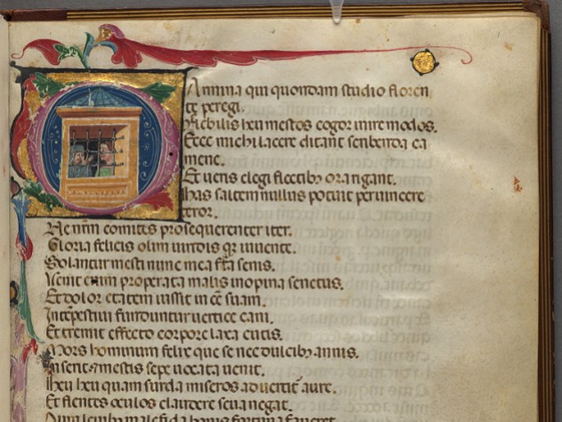 Words with No Freedom | Harvard Magazine