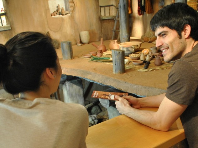 The Harvard Museums of Science and Culture promote research ...