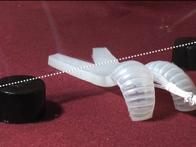 Whitesides lab models "soft" robots after squid and starfish | Harvard ...
