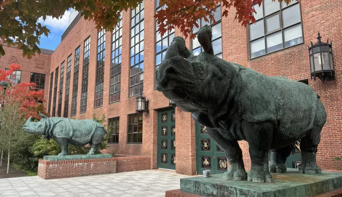 The Undergraduate looks at cycles in college friendships | Harvard Magazine